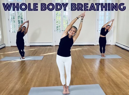 - Ellen Barrett - Mindful Movement